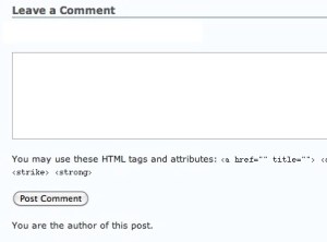 Encouraging Digital Kids to Write Polished Comments – Media! Tech ...